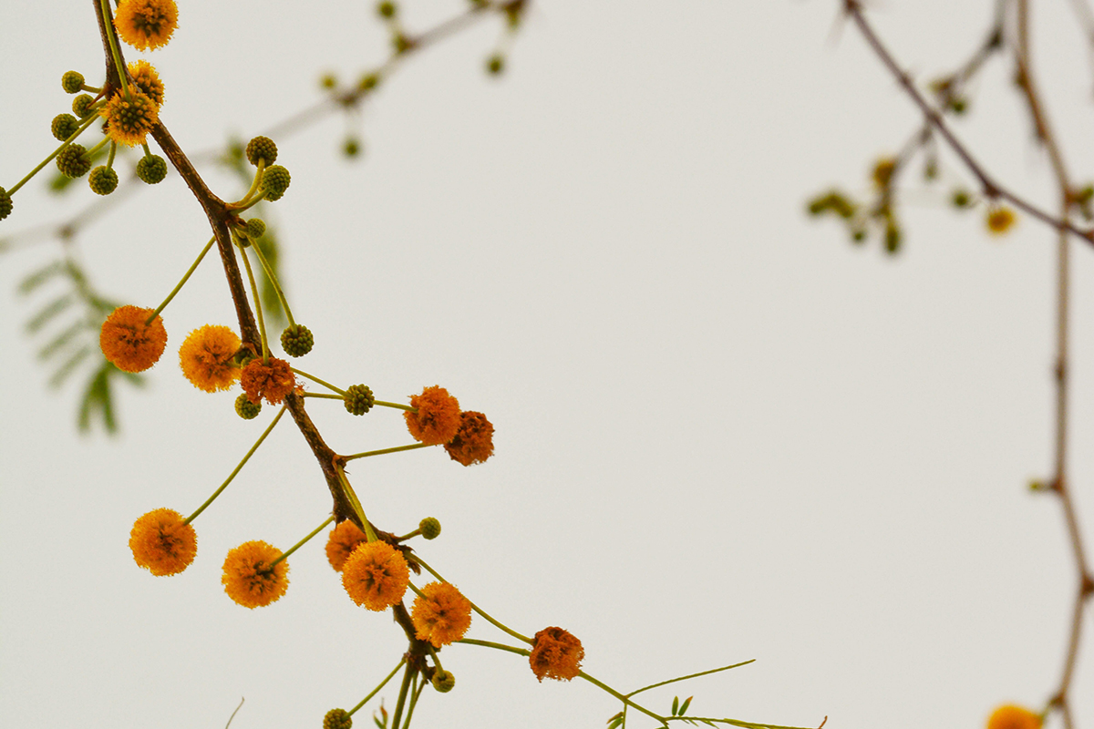 Is Your Loved One Losing Their Memory? | Today's Transitions