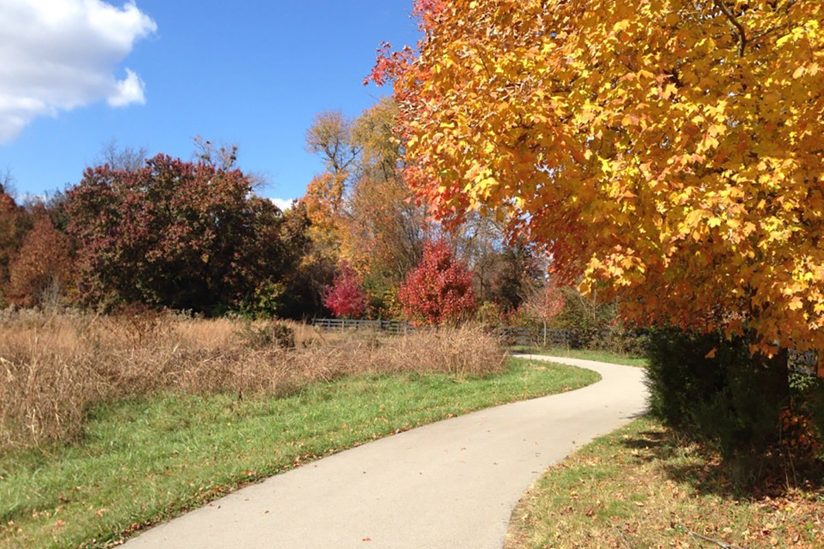 Let's Hike: Anchorage Trail | Today's Transitions