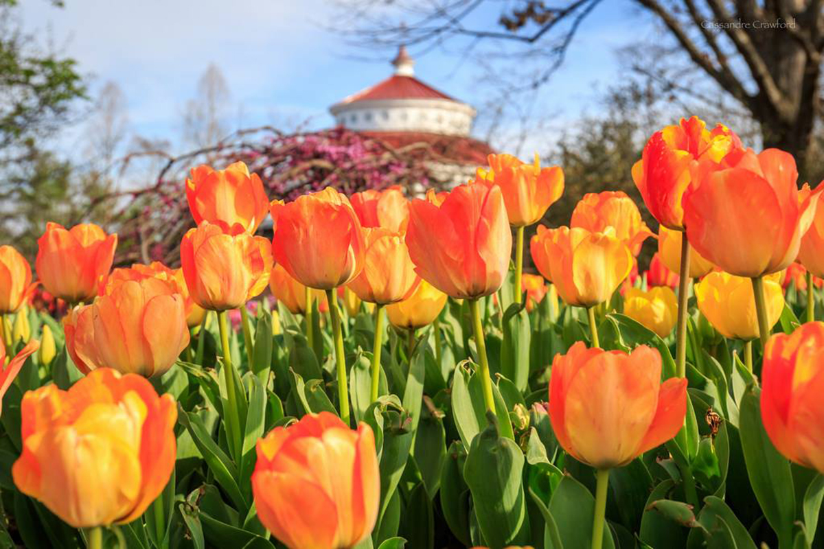 Get Out And About This April With Our Cincinnati Happenings Guide ...