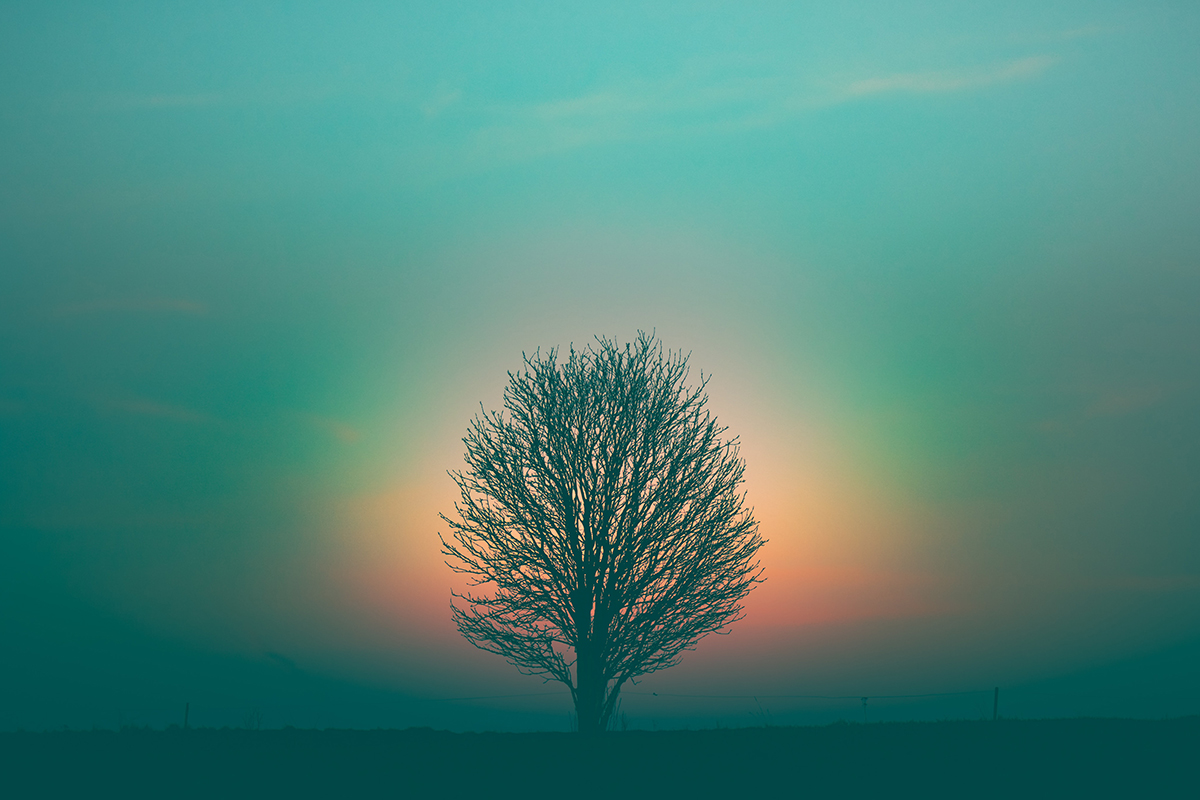 What I Know Now: Kyle Kramer | Today's Transitions