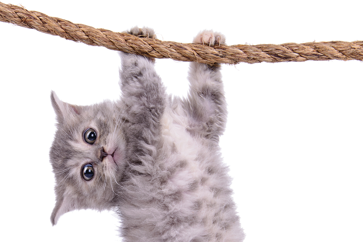 Is Your Mobility Hanging In The Balance? | Today's Transitions