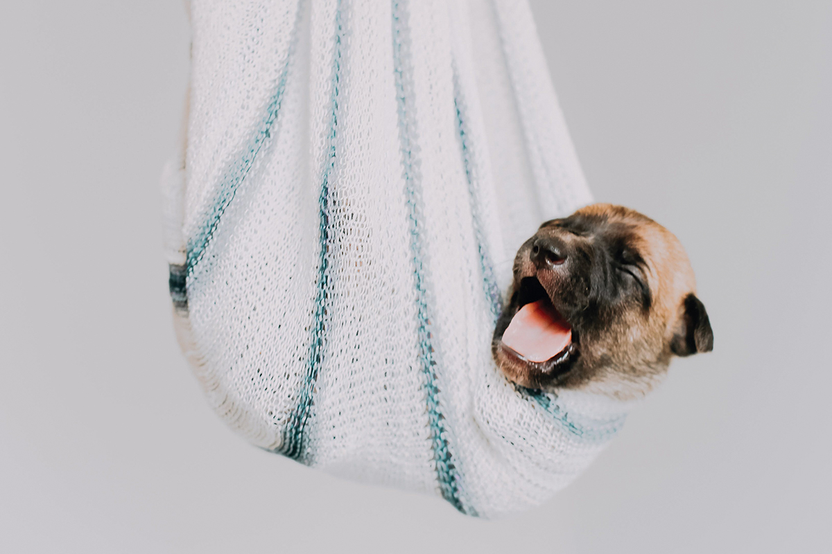 Get Your Zs For Good Health | Today's Transitions